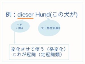 【ドイツ語「welcher/dieser」格変化】「どの？この」を表す疑問詞・定冠詞類の使い方 | 伝わるドイツ語